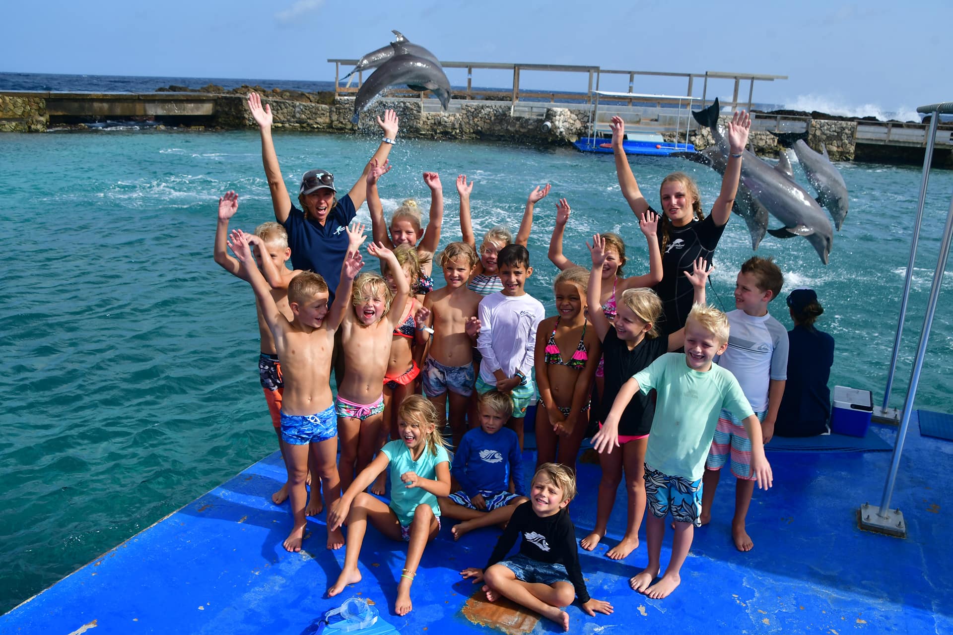 Education | Dolphin Academy Curaçao