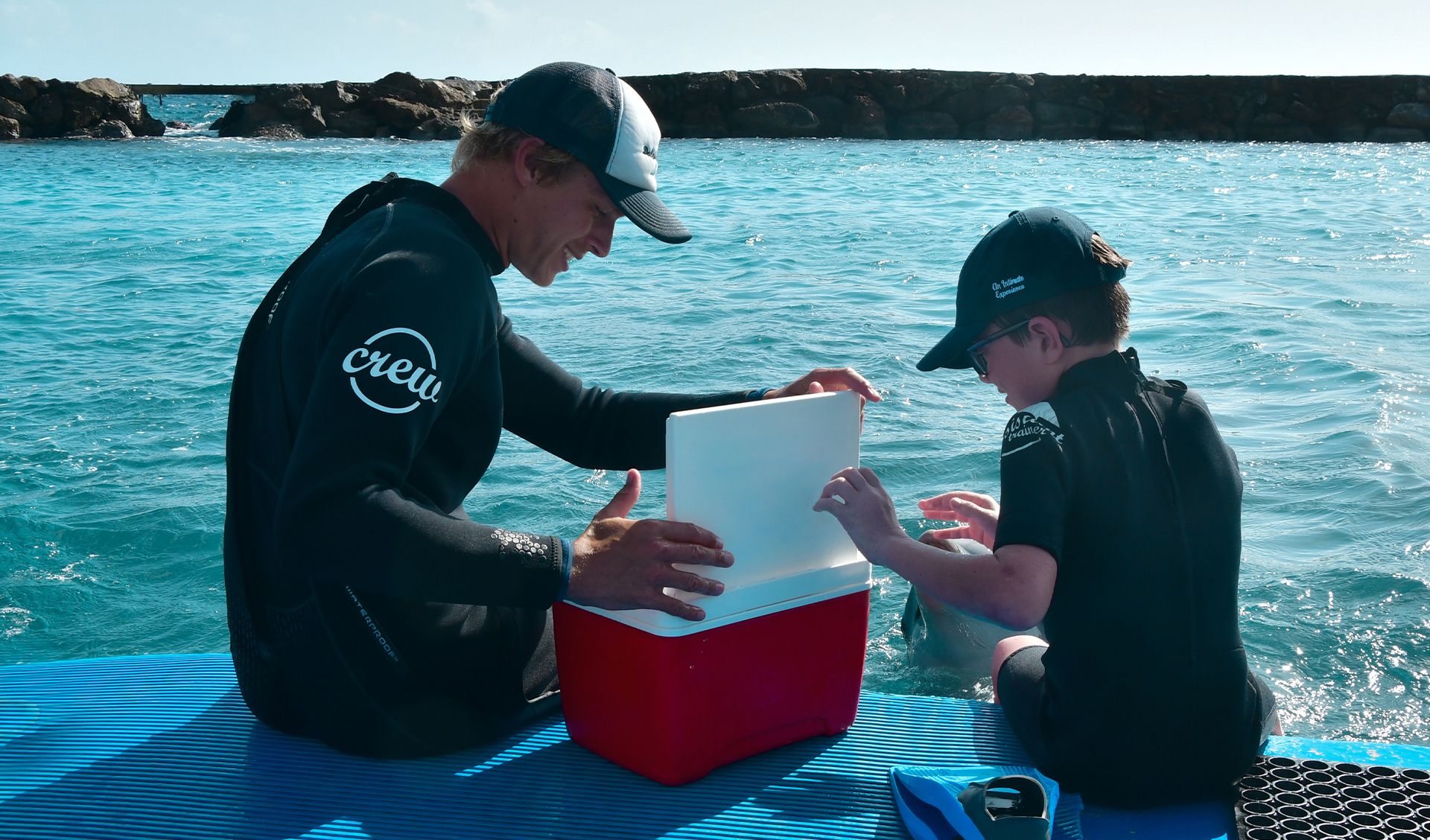 Assistant Trainer course | Dolphin Academy Curaçao